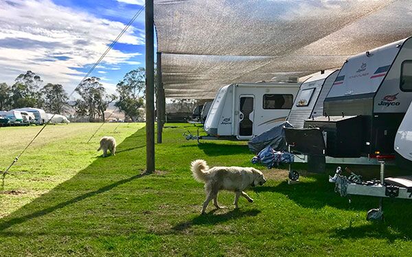 StoreMyVan - Caravan Storage $500 per year Undercover $1200 per year